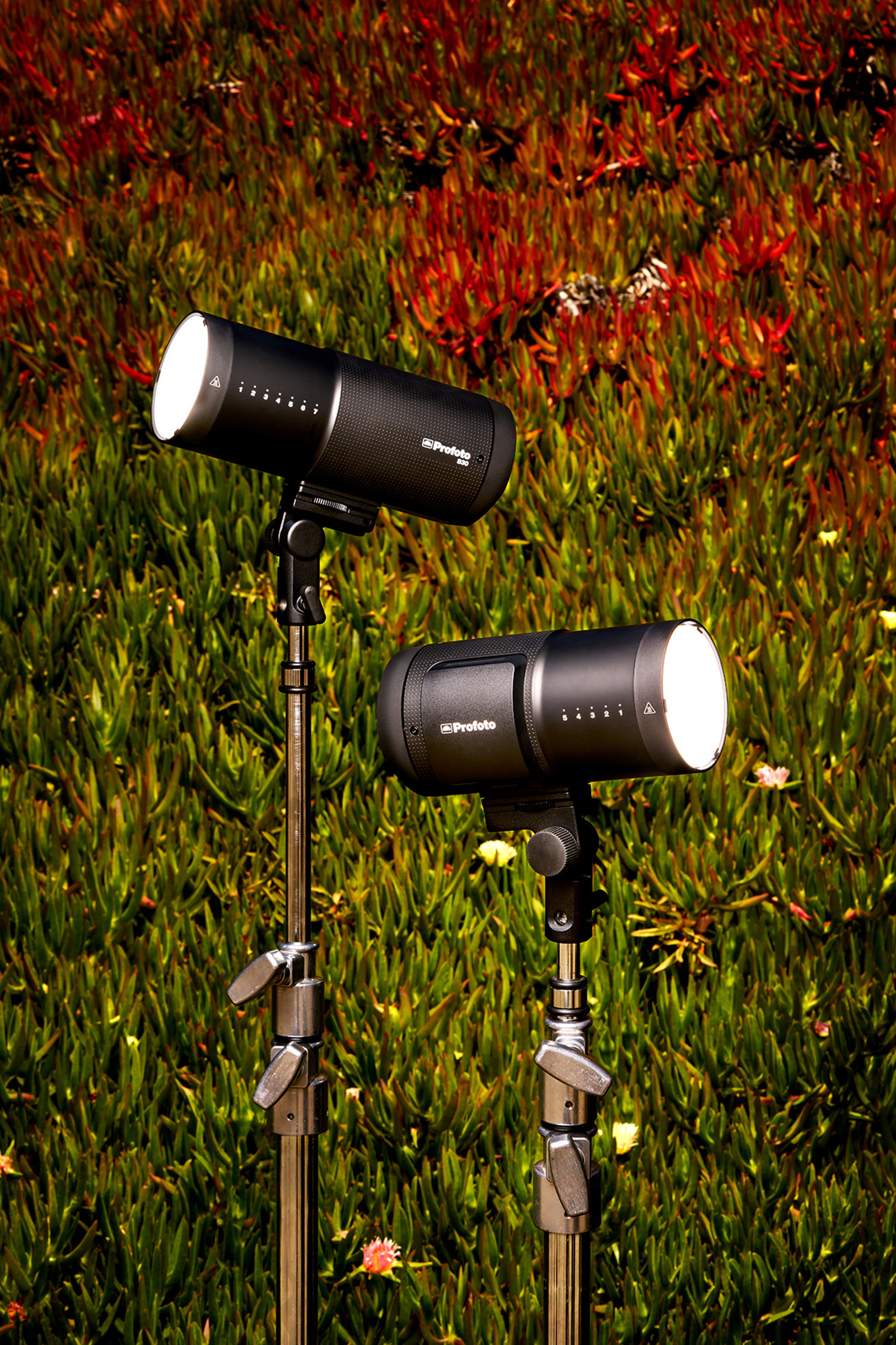 Profoto B20 and B30 - Profoto